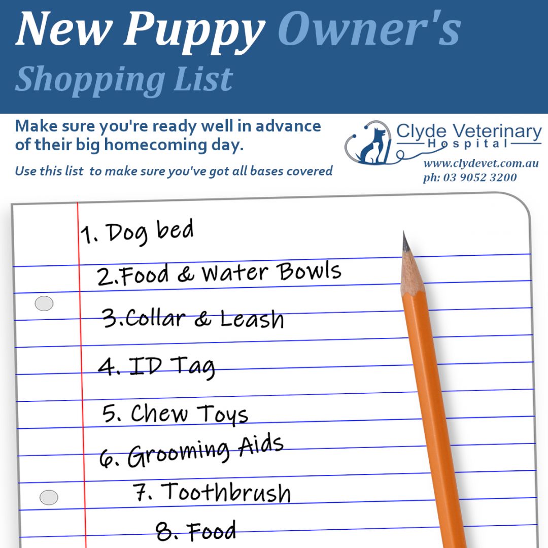 Bringing Home Your New Puppy - New Dog Owners Guide