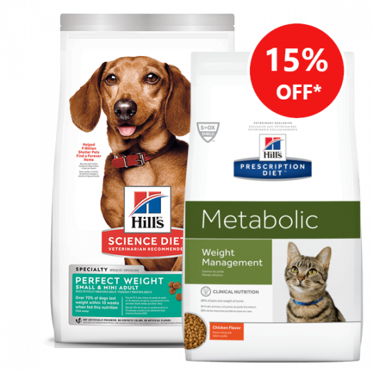 Maintaining Healthy Body Weight For Dogs & Cats
